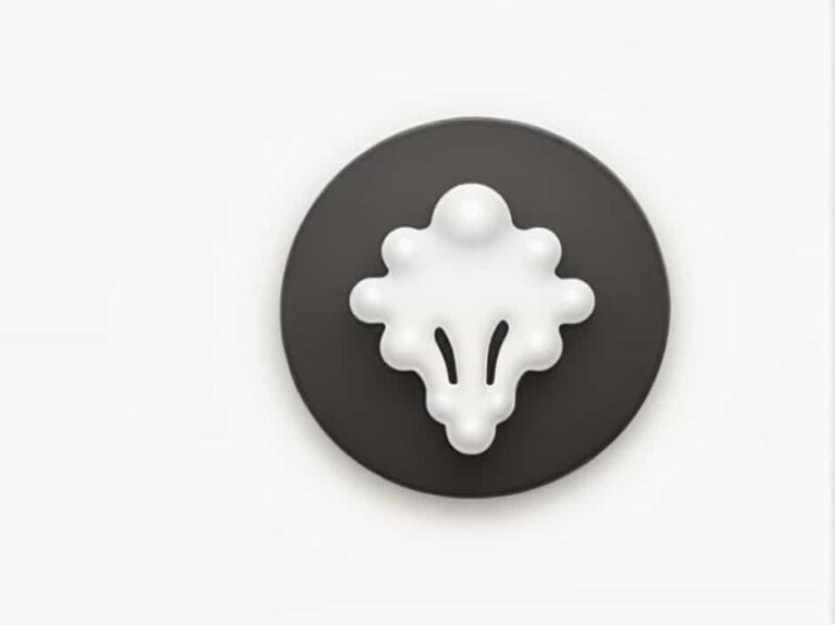 How Does An Amoeba Obtain Its Food - Ciplav.com