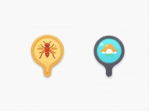 Fly Guy Vs. The Flyswatter Comprehension Questions - Ciplav.com