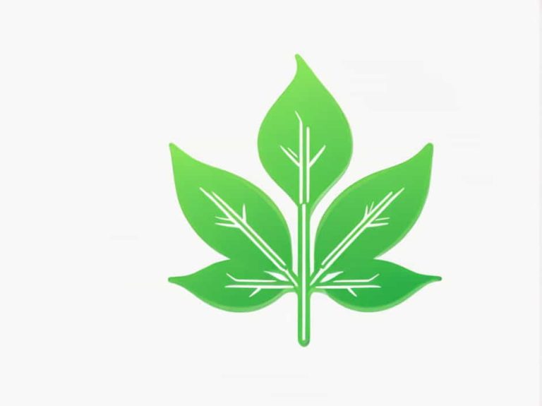 Leaves Are The Major Photosynthetic Organs Of A Plant - Ciplav.com