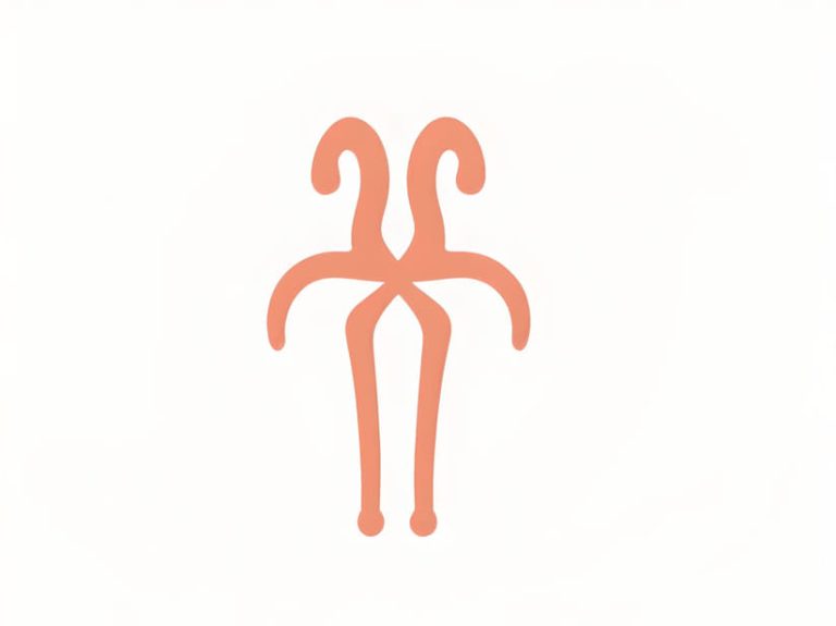 Nephropexy Is Surgical Fixation Of A Kidney - Ciplav.com